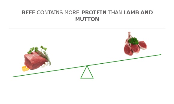 Compare Protein in Beef to Protein in Lamb