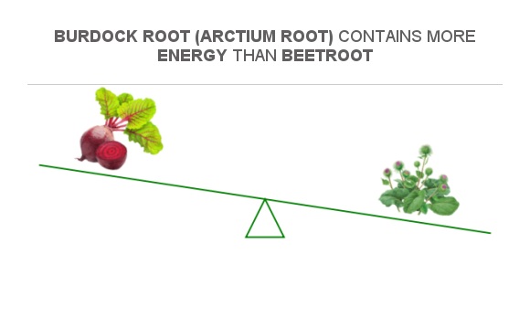 Compare Calories in Beetroot to Calories in Burdock root (Arctium root)
