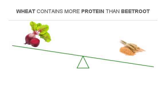 Compare Protein in Beetroot to Protein in Wheat