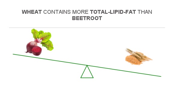 Compare Fats in Beetroot to Fats in Wheat