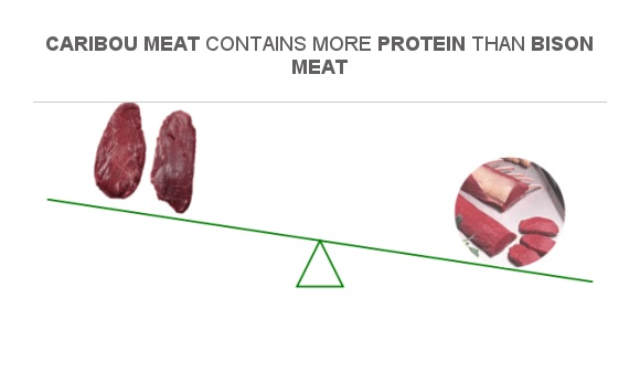 Compare Protein in Bison meat to Protein in Caribou meat