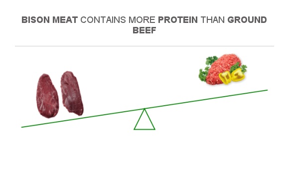 Compare Protein in Bison meat to Protein in Ground beef