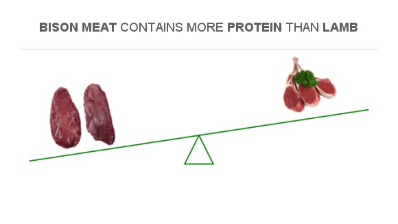 Compare Protein in Bison meat to Protein in Lamb