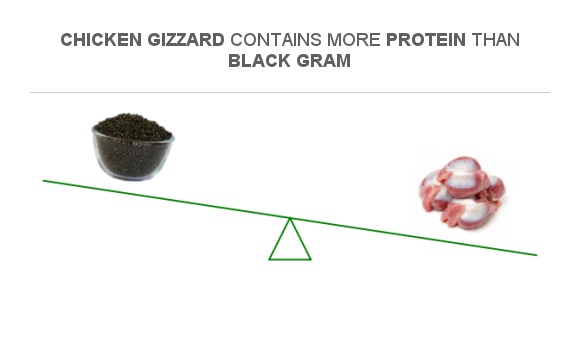 Compare Protein in Black gram to Protein in Chicken gizzard