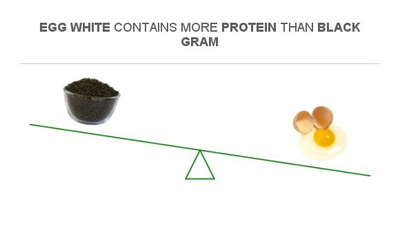 Compare Protein in Black gram to Protein in Egg white