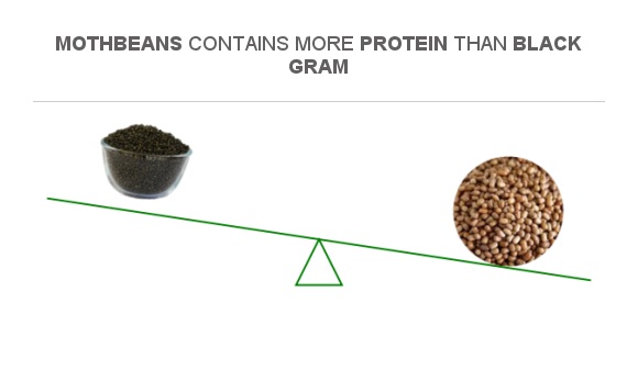 Compare Protein in Black gram to Protein in Mothbeans