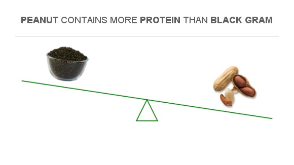 Compare Protein in Black gram to Protein in Peanut