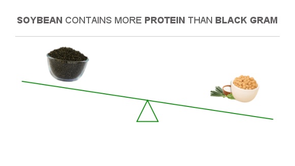 Compare Protein in Black gram to Protein in Soybean