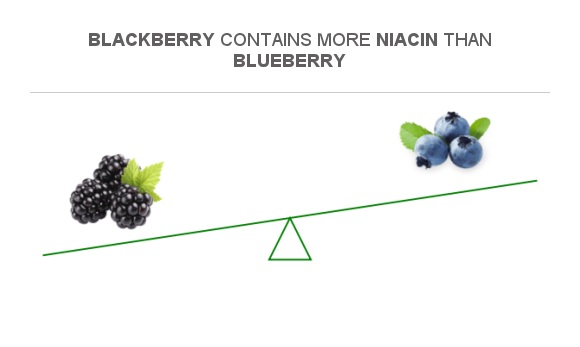 Compare Vitamin B3 in Blackberry to Vitamin B3 in Blueberry