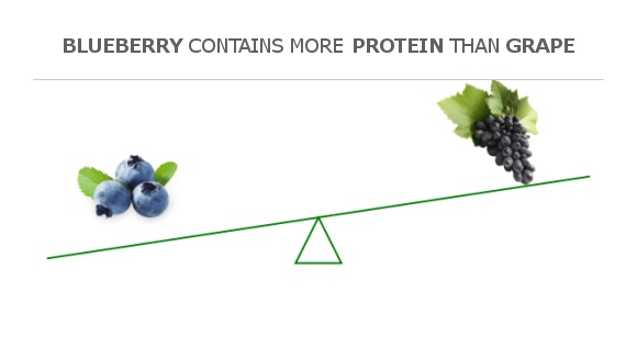 Compare Protein in Blueberry to Protein in Grape