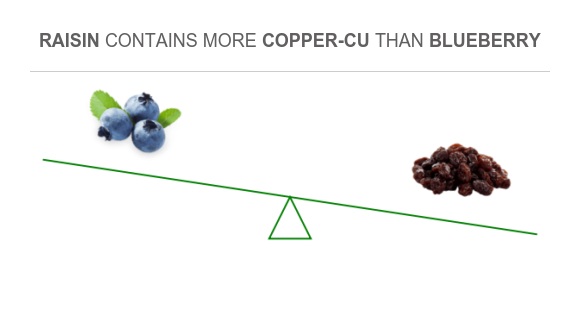 Compare Copper in Blueberry to Copper in Raisin
