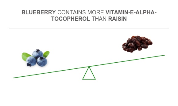 Compare Vitamin E in Blueberry to Vitamin E in Raisin