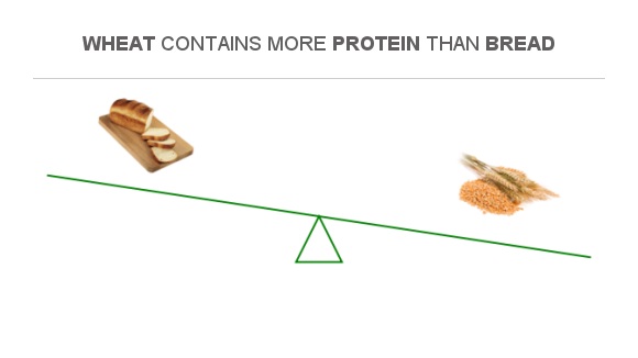 Compare Protein in Wheat Bread to Protein in Wheat