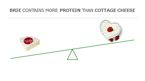 Compare Protein in Brie to Protein in Cottage cheese