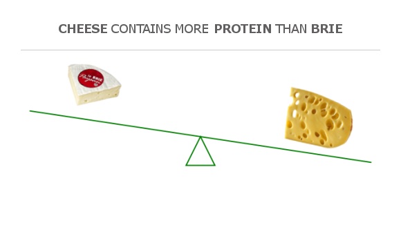 Compare Protein in Brie to Protein in Cheddar Cheese