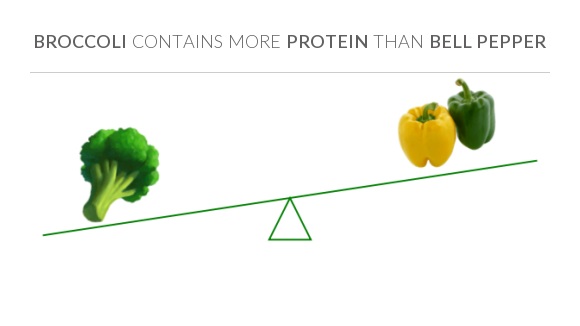 Compare Protein in Broccoli to Protein in Bell pepper