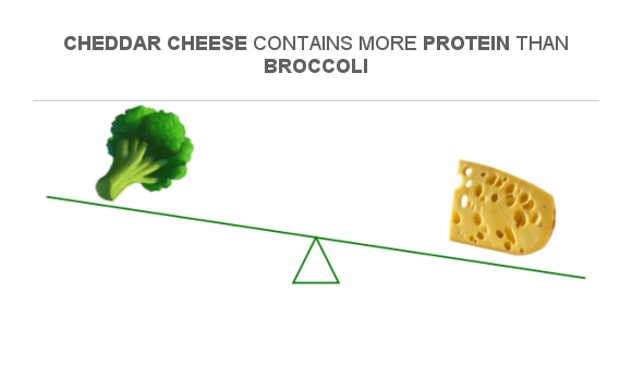 Compare Protein in Broccoli to Protein in Cheese