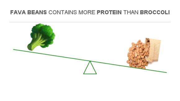 Compare Protein in Broccoli to Protein in Fava beans