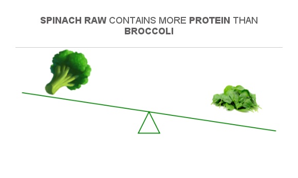 Compare Protein in Broccoli to Protein in Spinach raw