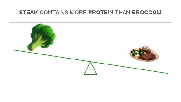 Compare Protein in Broccoli to Protein in Steak