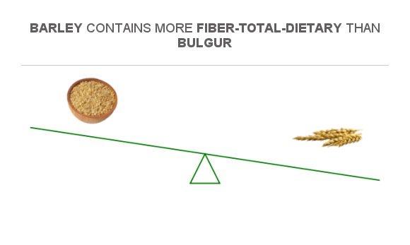 Compare Fiber in Bulgur to Fiber in Barley