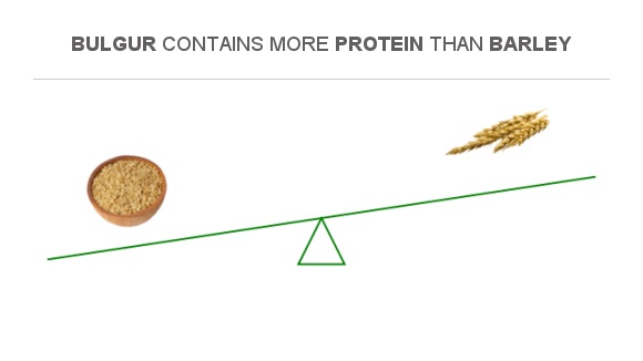 Compare Protein in Bulgur to Protein in Barley