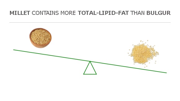 Compare Fats in Bulgur to Fats in Millet
