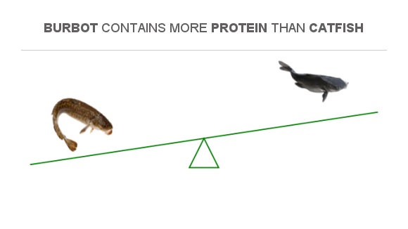 Compare Protein in Burbot to Protein in Catfish