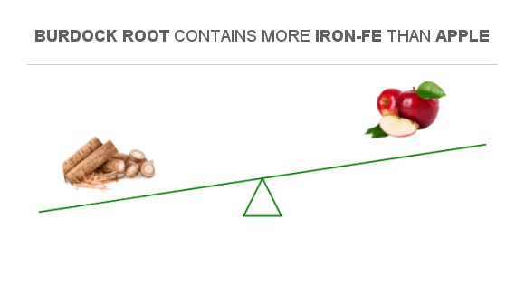 Compare Iron in Burdock root to Iron in Apple