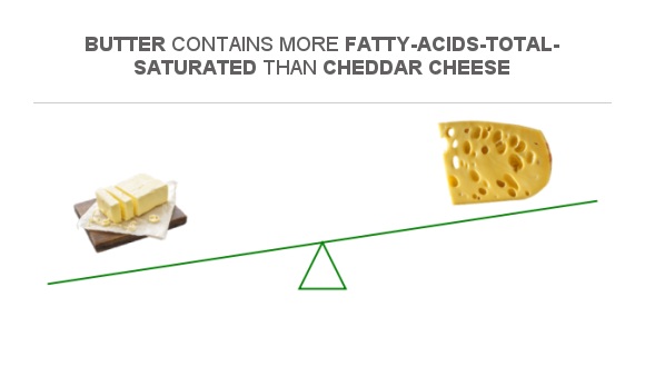 Compare Saturated fat in Butter to Saturated fat in Cheese
