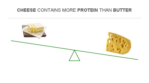 Compare Protein in Butter to Protein in Cheese