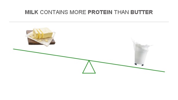 Compare Protein in Butter to Protein in Milk