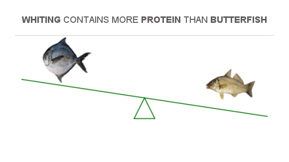 Compare Protein in Butterfish to Protein in Whiting