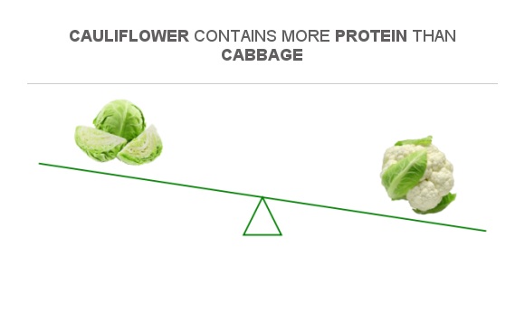 Compare Protein in Cabbage to Protein in Cauliflower