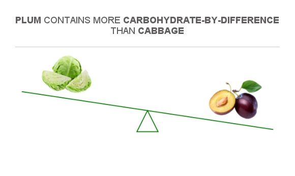 Compare Carbs in Cabbage to Carbs in Plum