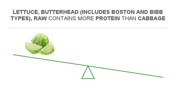 Compare Protein in Cabbage to Protein in Lettuce, butterhead (includes ...