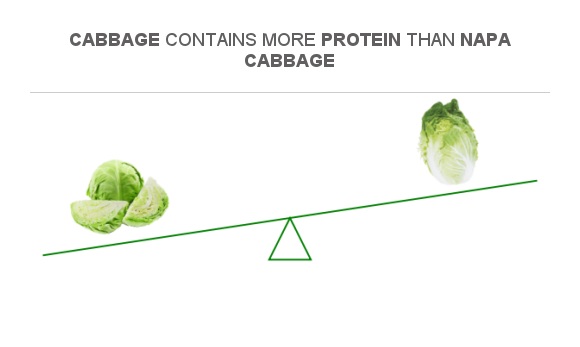 Compare Protein in Cabbage to Protein in Napa cabbage