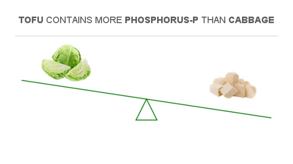 Compare Phosphorus in Cabbage to Phosphorus in Tofu