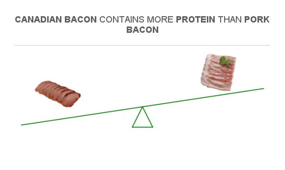 Compare Protein in Canadian bacon to Protein in Pork bacon
