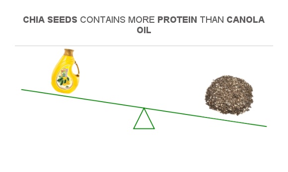 Compare Protein in Canola oil to Protein in Chia seeds
