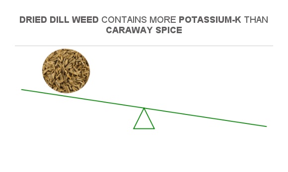 Compare Potassium in Caraway spice to Potassium in Dried dill weed