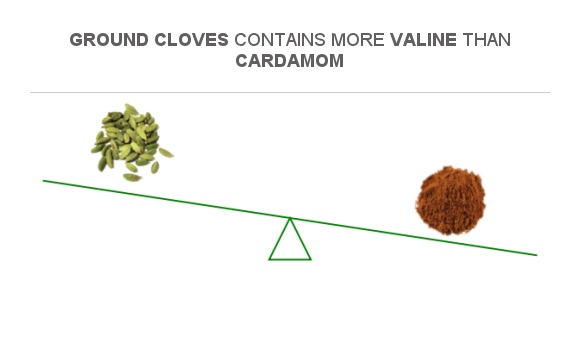 Compare Valine in Cardamom to Valine in Ground cloves