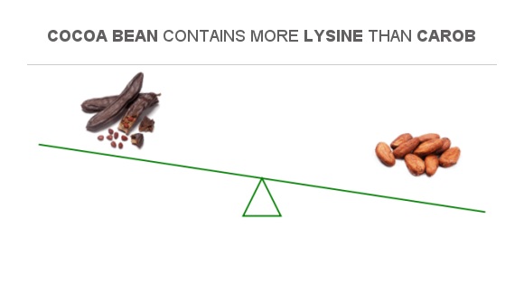 Compare Lysine in Carob to Lysine in Cocoa bean