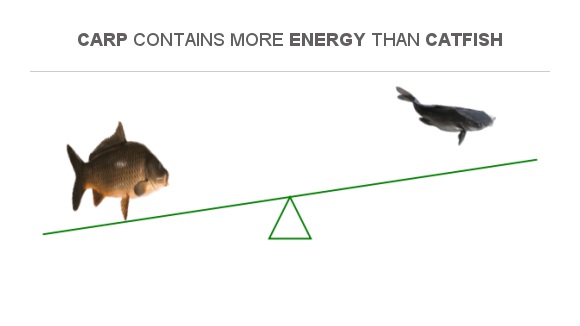 Compare Calories in Carp to Calories in Catfish