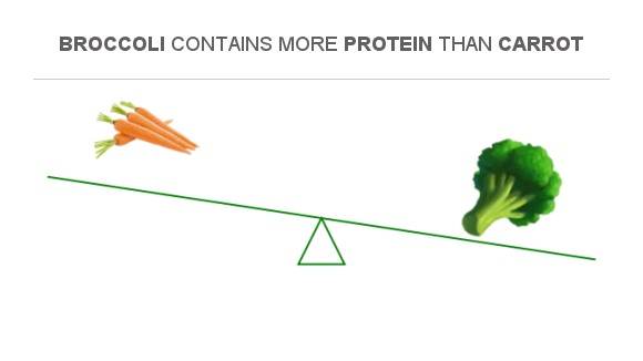 Compare Protein in Carrot to Protein in Broccoli