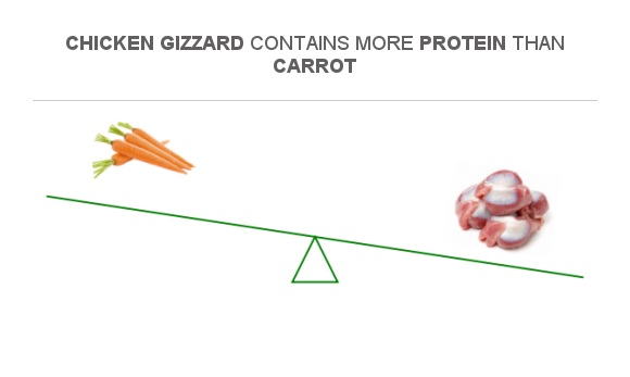 Compare Protein in Carrot to Protein in Chicken gizzards