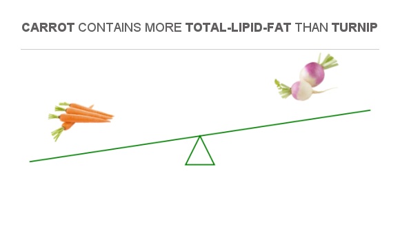 Compare Fats in Carrot to Fats in Turnip