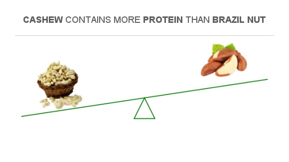 Compare Protein in Cashew to Protein in Brazil nut