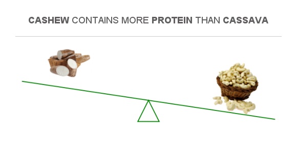 Compare Protein in Cassava to Protein in Cashew