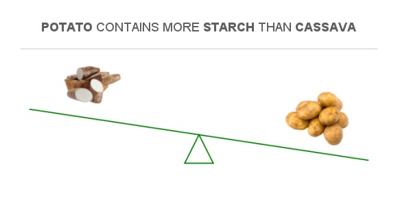 Compare Starch in Cassava to Starch in Potato